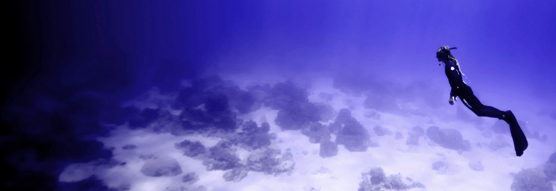 One Breath - Freediving school in Lembongan - Monkey Activities ...